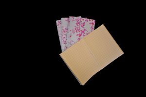 Lokta paper-Notebook- 5 sets - Nationwide